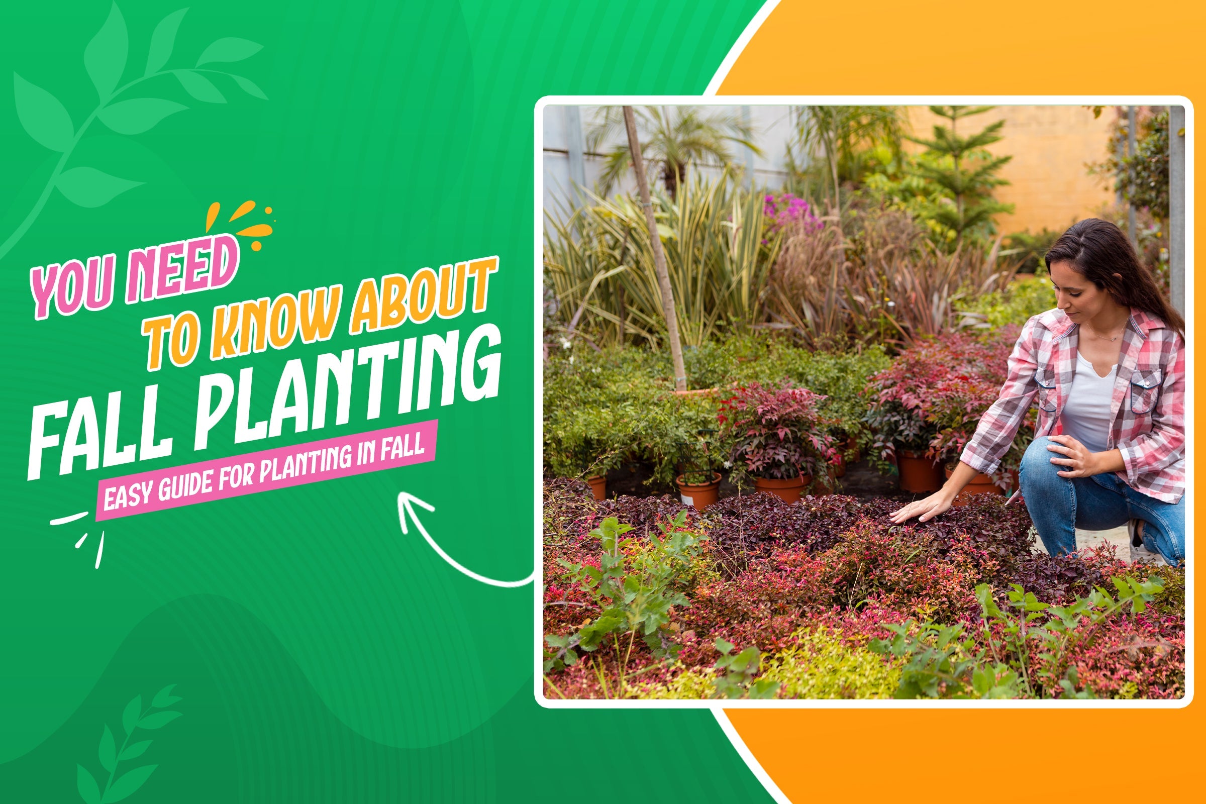 You Need to Know About Fall Planting: A Complete Guide for Gardeners