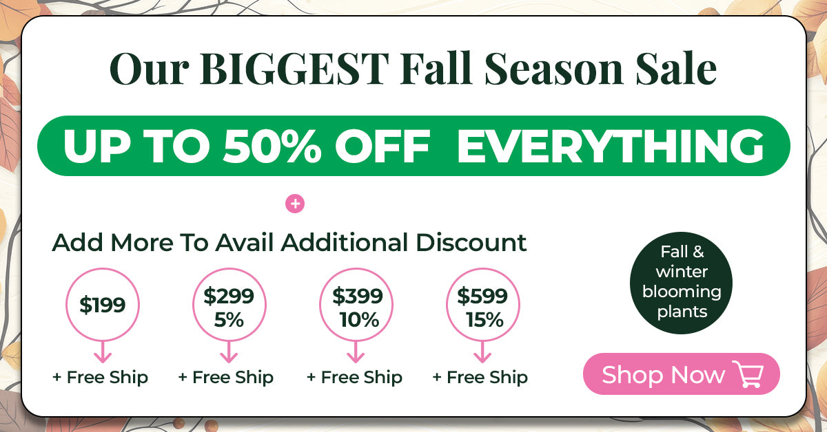 Test Pixies Gardens Fall Planting Nursery Guide!