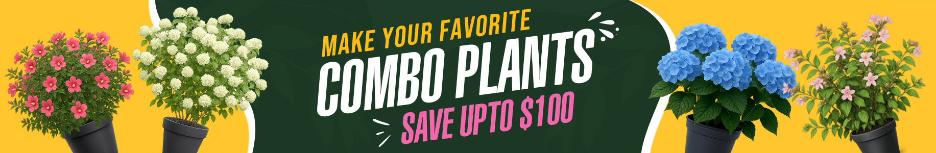 Holiday Season Bare Root Pre-Order Tree for Sale – Pixies Gardens