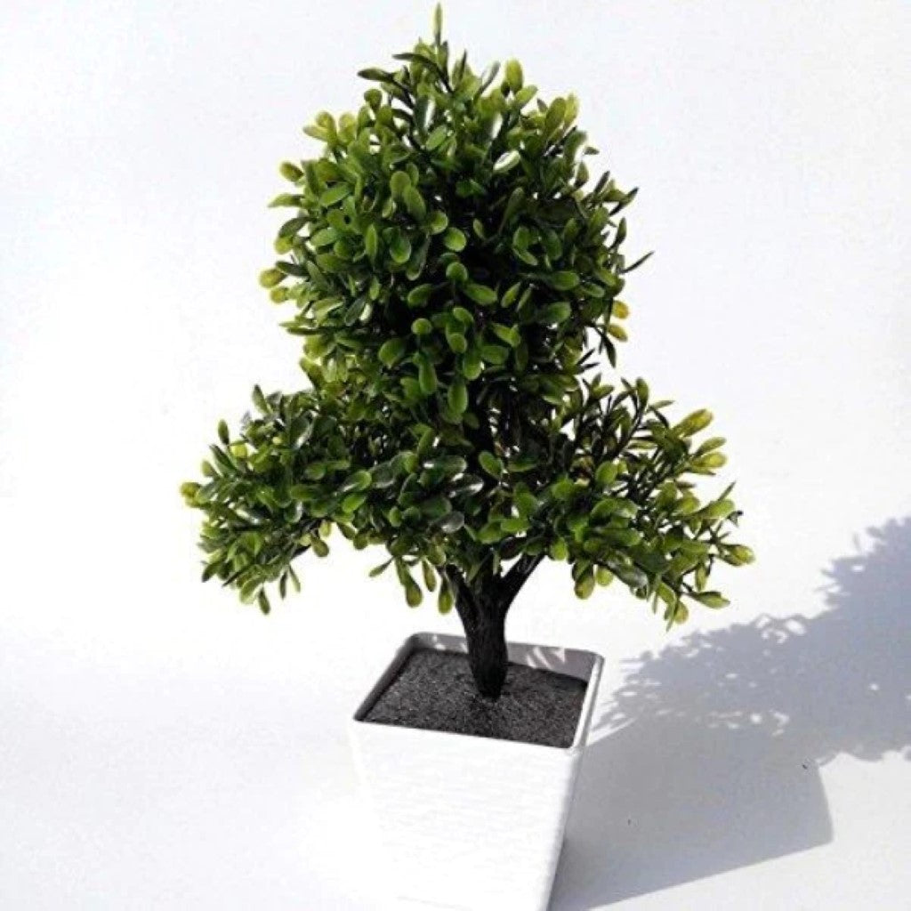 Gorgeous Bonsai Green Color with Very Attractive Pot -Excellent Gift ...